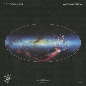 The Floating Whale; Disruptive LoFi, Magellanic Stream (Single) in High-Resolution Audio ...