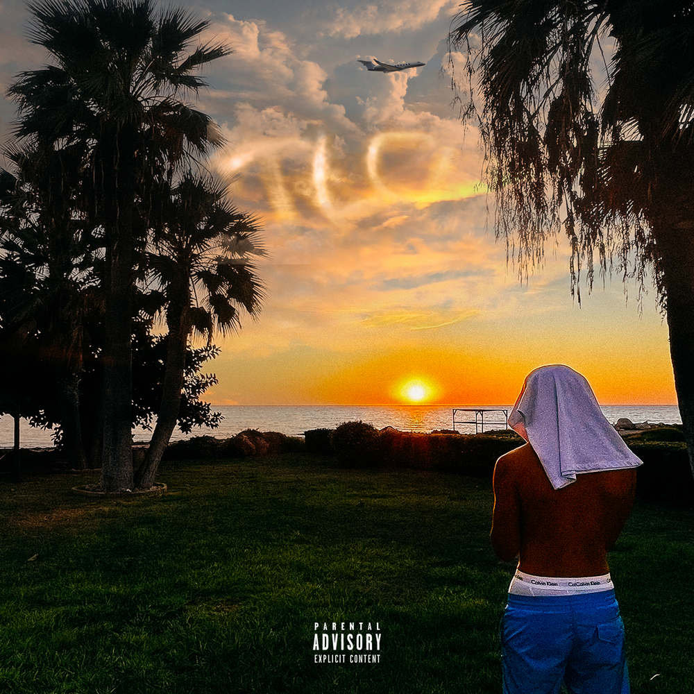 Digga D, TLC (Single) in High-Resolution Audio - ProStudioMasters