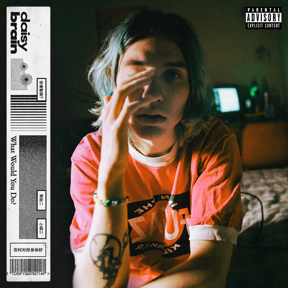 Daisy Brain, What Would You Do? (Single) in High-Resolution Audio ...