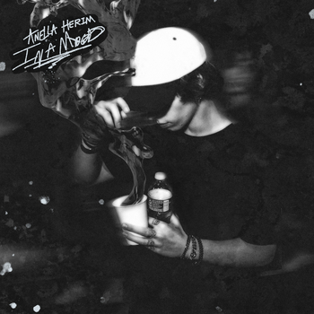 Anella Herim, In A Mood (Single) in High-Resolution Audio ...