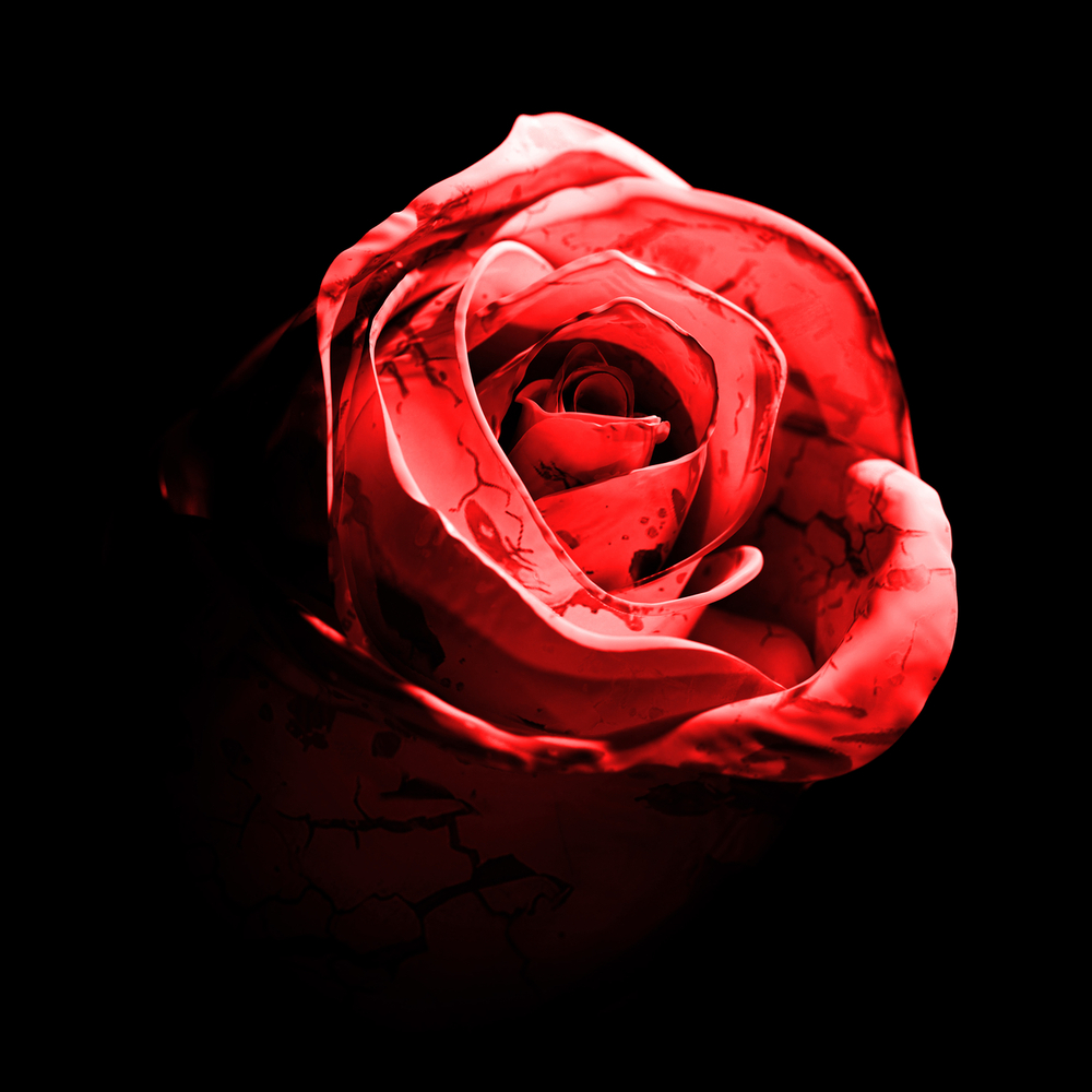 d4vd, Romantic Homicide (Live Version / Single) in High-Resolution ...