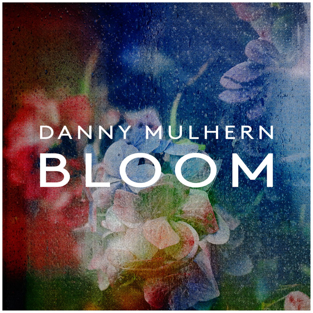 Danny Mulhern, Bloom in High-Resolution Audio - ProStudioMasters