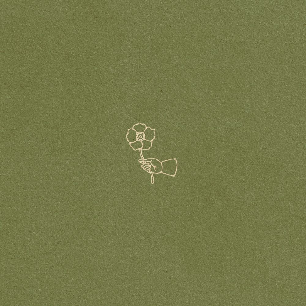 Christian Hayes, Wildflower (Single) in High-Resolution Audio ...