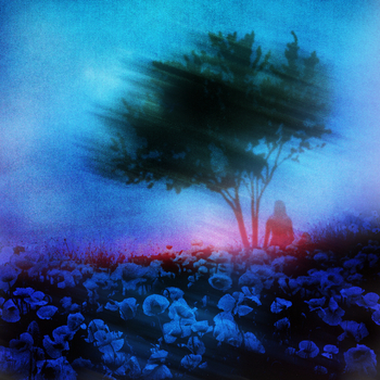 Wisp; Distressor, Tomorrow (Single) in High-Resolution Audio ...