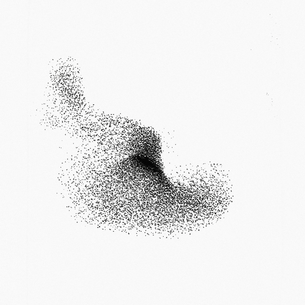 Erland Cooper; Freya Goldmark, Asleep On The Wing in High-Resolution ...