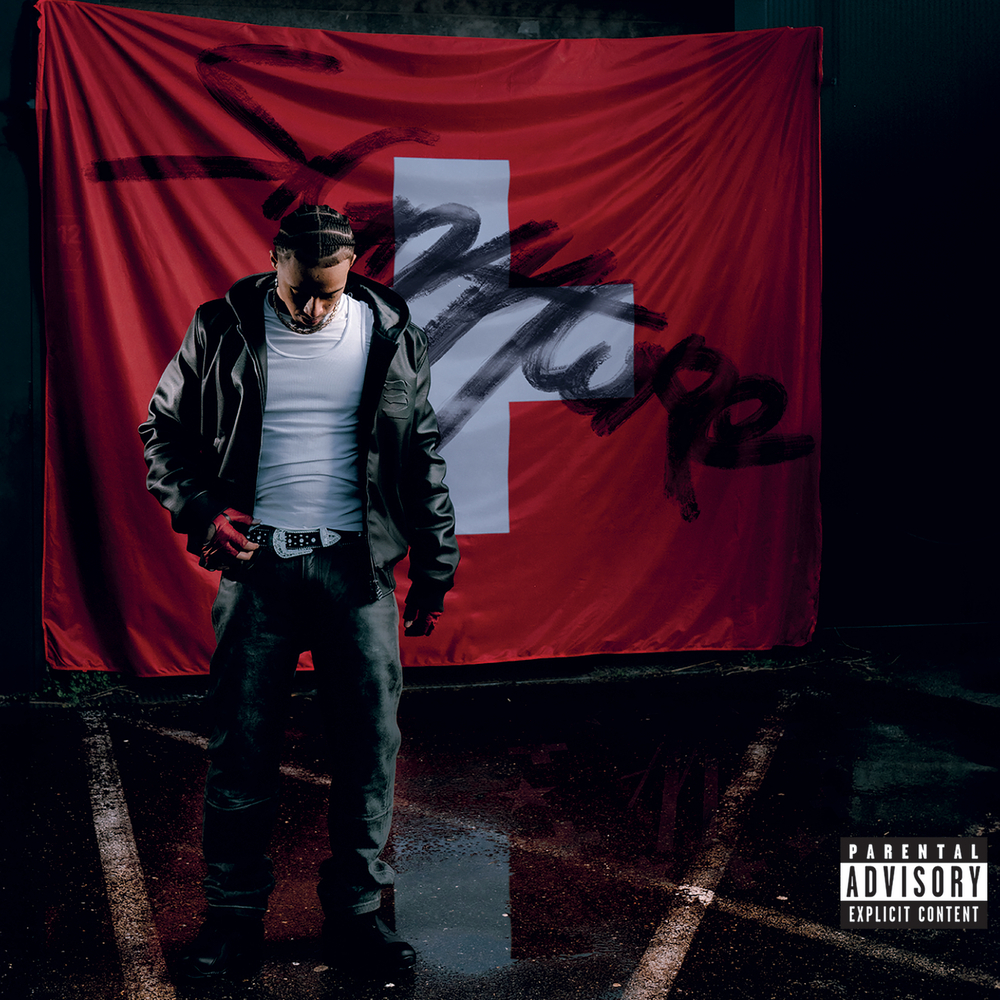 AAMO, SIGNAATURE in High-Resolution Audio - ProStudioMasters