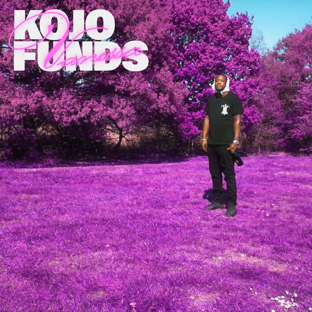Kojo Funds, Vanessa (Single) in High-Resolution Audio - ProStudioMasters