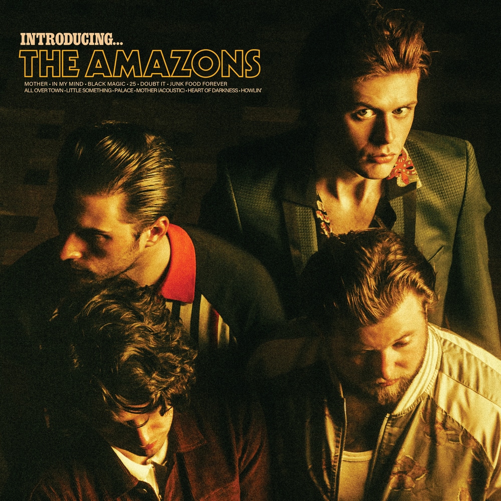 The Amazons, Introducing… The Amazons in High-Resolution Audio ...
