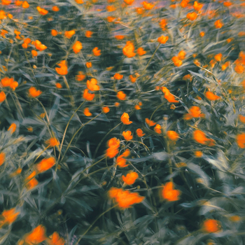 ZOE Music, Forever With You (Freestyle Session / Single) in High ...