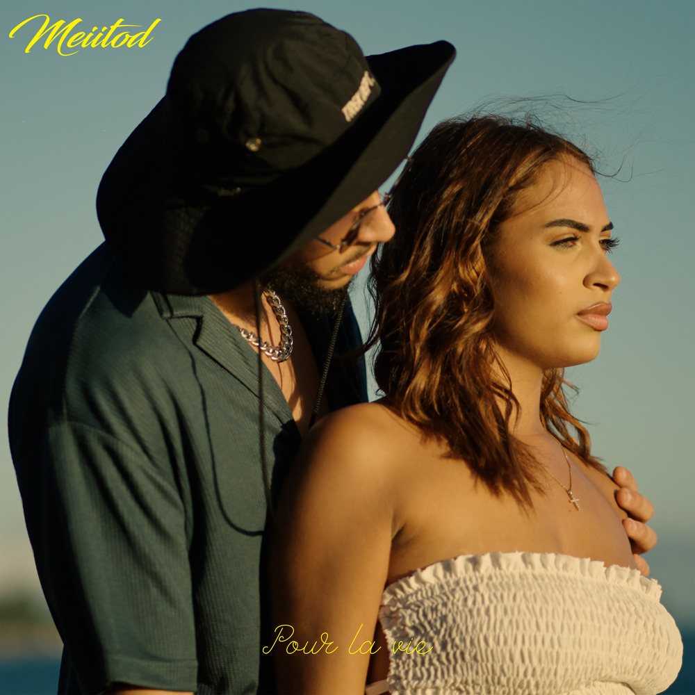 Meiitod, Pour la vie (Single) in High-Resolution Audio - ProStudioMasters