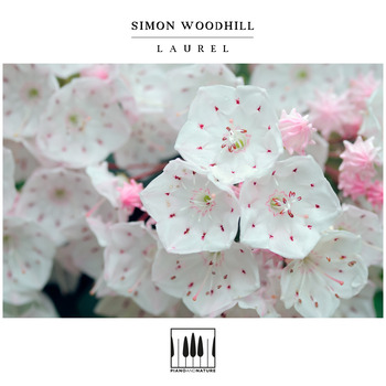 Simon Woodhill, Laurel (Single) in High-Resolution Audio - ProStudioMasters