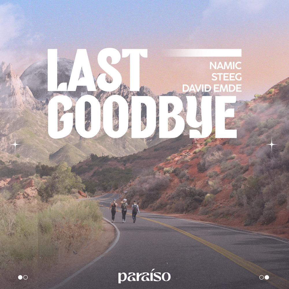 Namic; Steeg; David Emde, Last Goodbye (Single) in High-Resolution ...