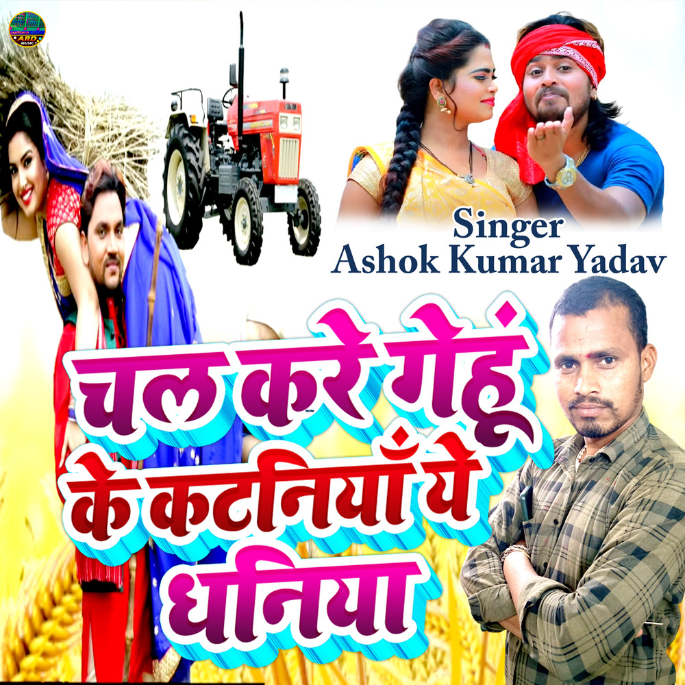Ashok Kumar Yadav; Bholu Raw; Sintu Sawariya, Chal Kare Gehum Ke Katniya Ye Dhaniya (Single) in ...
