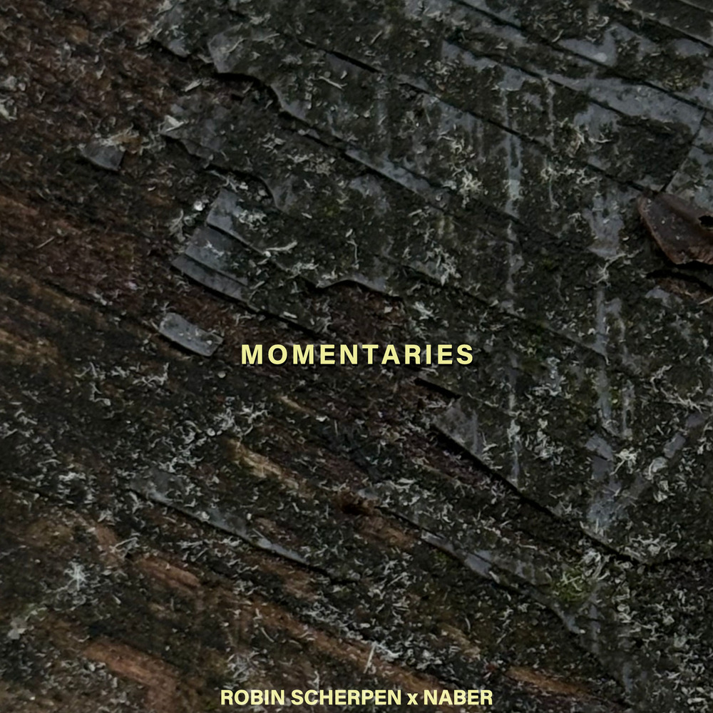 Robin Scherpen; Naber, Momentaries (feat. Naber / Single) in High ...