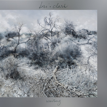 Bri Clark, Waiting in High-Resolution Audio - ProStudioMasters