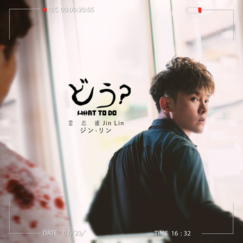 JIN LIN, What to do (Single) in High-Resolution Audio - ProStudioMasters