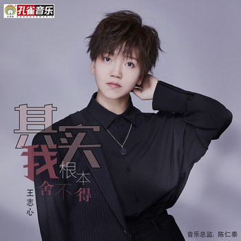 王志心, 其實我根本捨不得 (Single) in High-Resolution Audio - ProStudioMasters