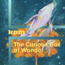 Daniel Teper, The Curious Box of Wonder in High-Resolution Audio ...