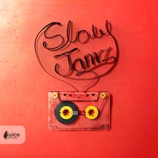 Various Artists, Slow Jamz in High-Resolution Audio - ProStudioMasters