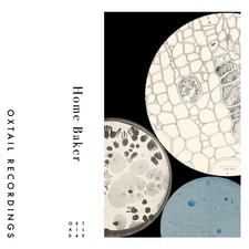 Home Baker, Stages in High-Resolution Audio - ProStudioMasters