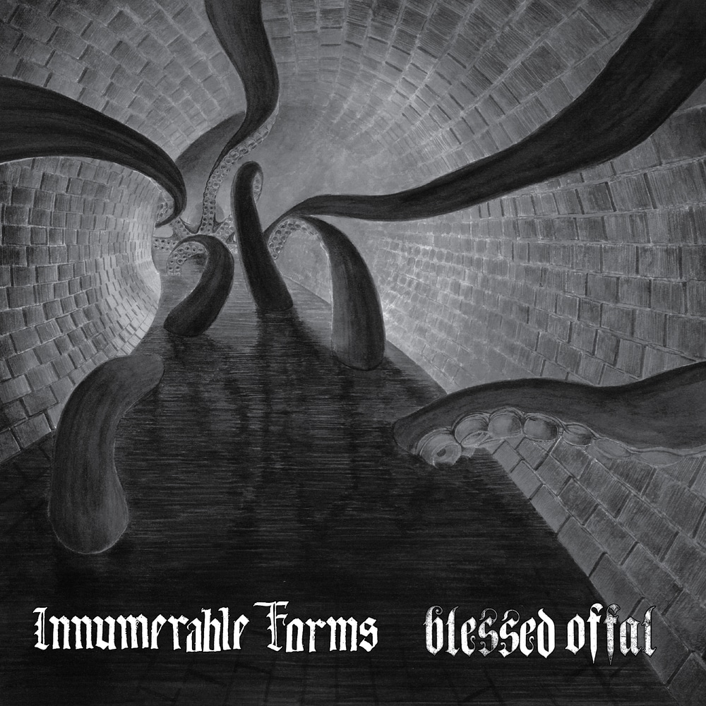 Innumerable Forms; Blessed Offal, Split in High-Resolution Audio ...