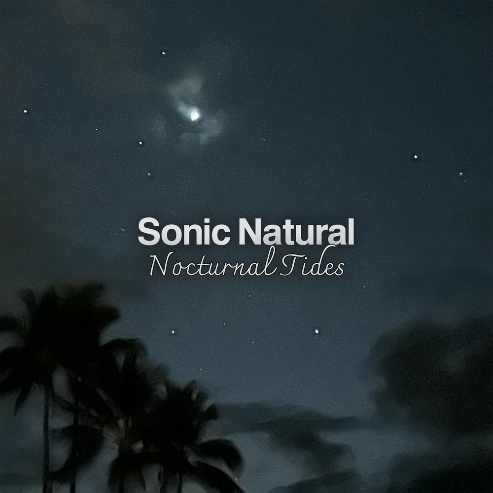 Sonic Natural, Nocturnal Tides in High-Resolution Audio - ProStudioMasters