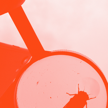 Stephen Vitiello, Brood IX in High-Resolution Audio - ProStudioMasters