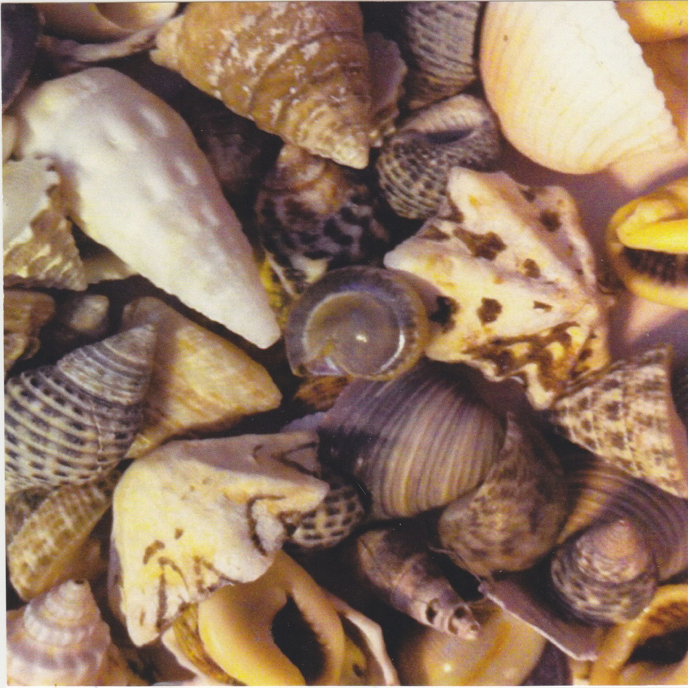 Ken Saul, Seashells in High-Resolution Audio - ProStudioMasters