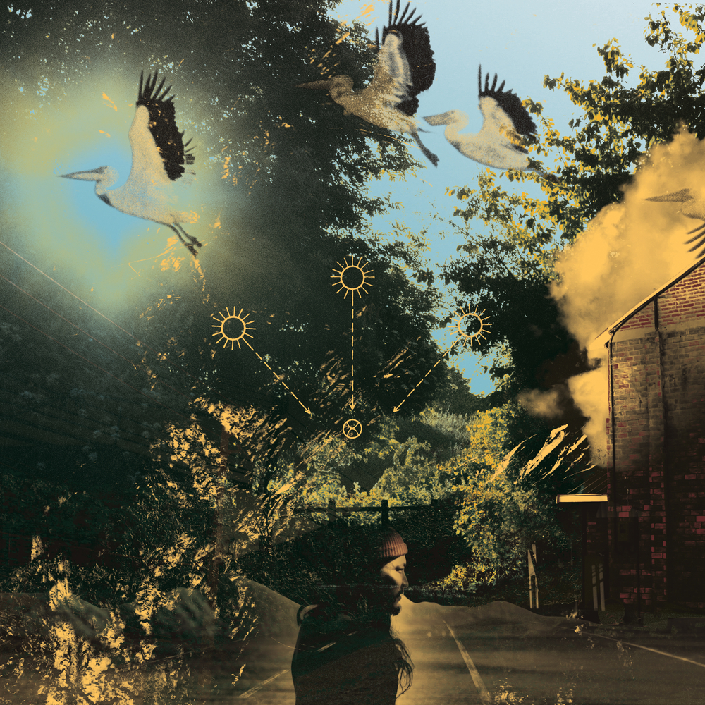 MFP, Natural Law in High-Resolution Audio - ProStudioMasters