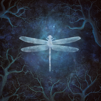 Amethystium, Odonata - 20th Anniversary Edition in High-Resolution ...