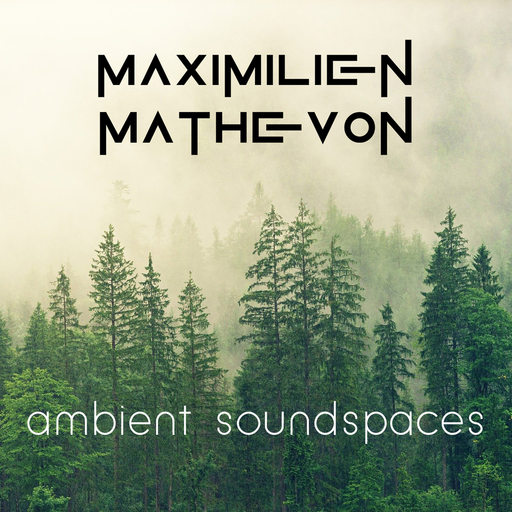 Maximilien Mathevon, Ambient Soundspaces in High-Resolution Audio ...