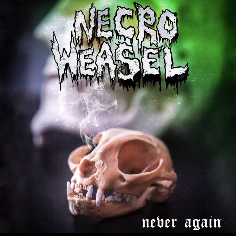 Necro Weasel, Never Again in High-Resolution Audio - ProStudioMasters
