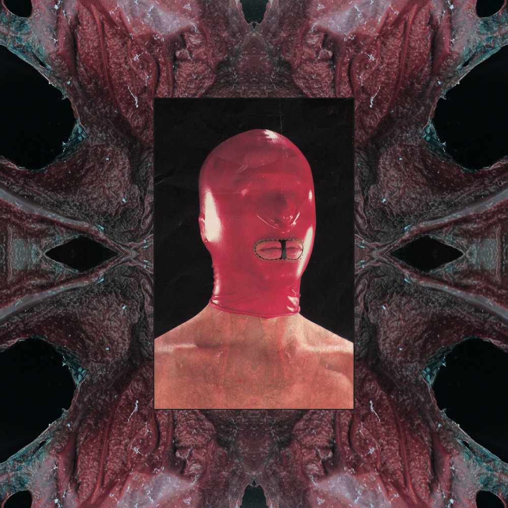 Schacke, Apocalyptic Decadence in High-Resolution Audio - ProStudioMasters