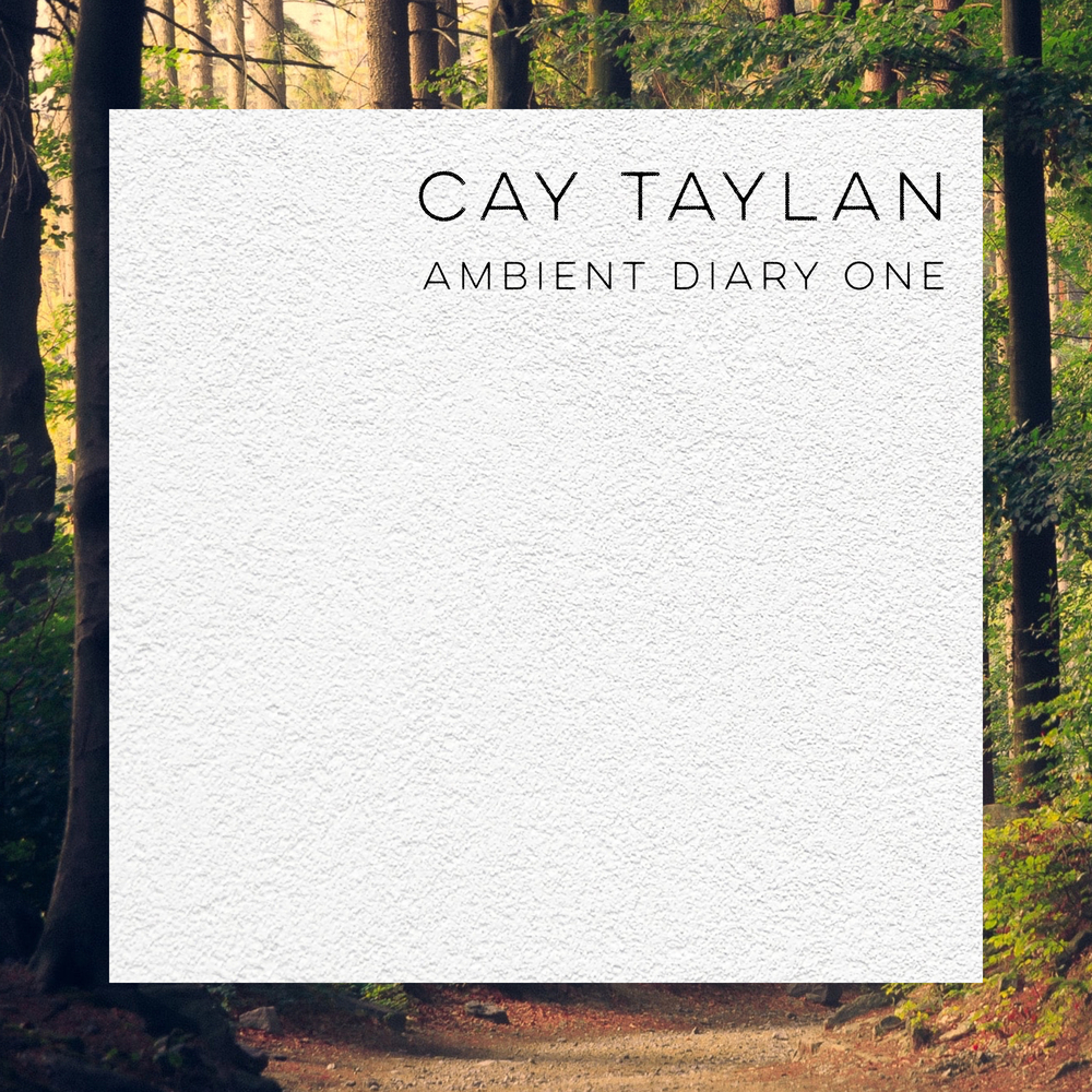 Cay Taylan, Ambient Diary One in High-Resolution Audio - ProStudioMasters
