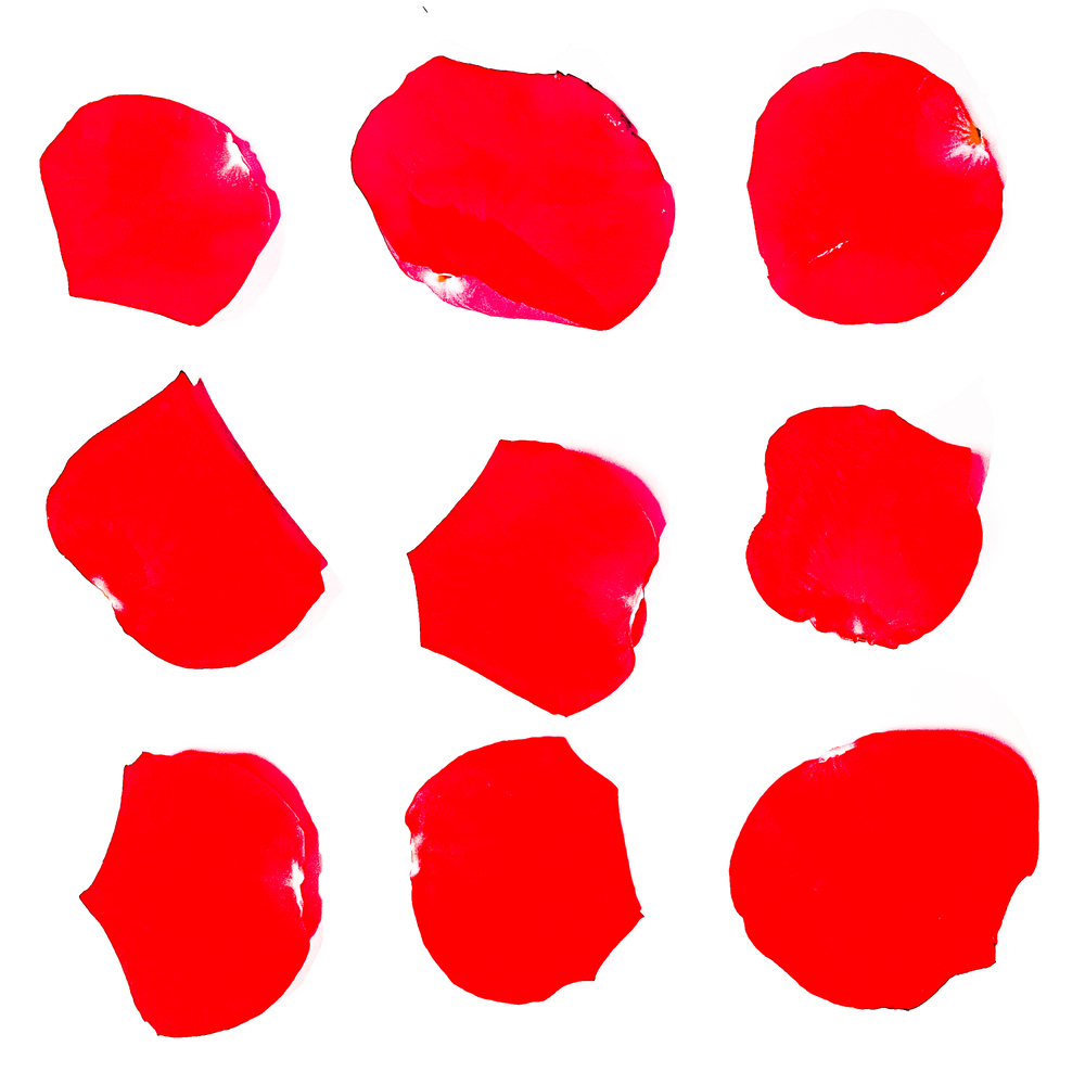 Georg Buljo; Tore Brunborg, Nine variations on good thoughts in High-Resolution Audio ...