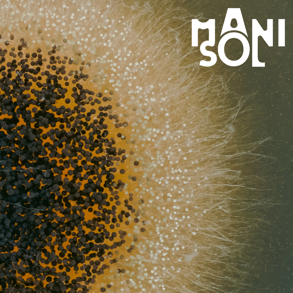 ManiSol, Mani in High-Resolution Audio - ProStudioMasters