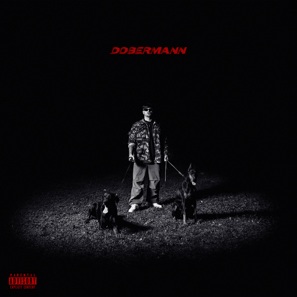 Ciro Zero, Dobermann (Single) in High-Resolution Audio - ProStudioMasters