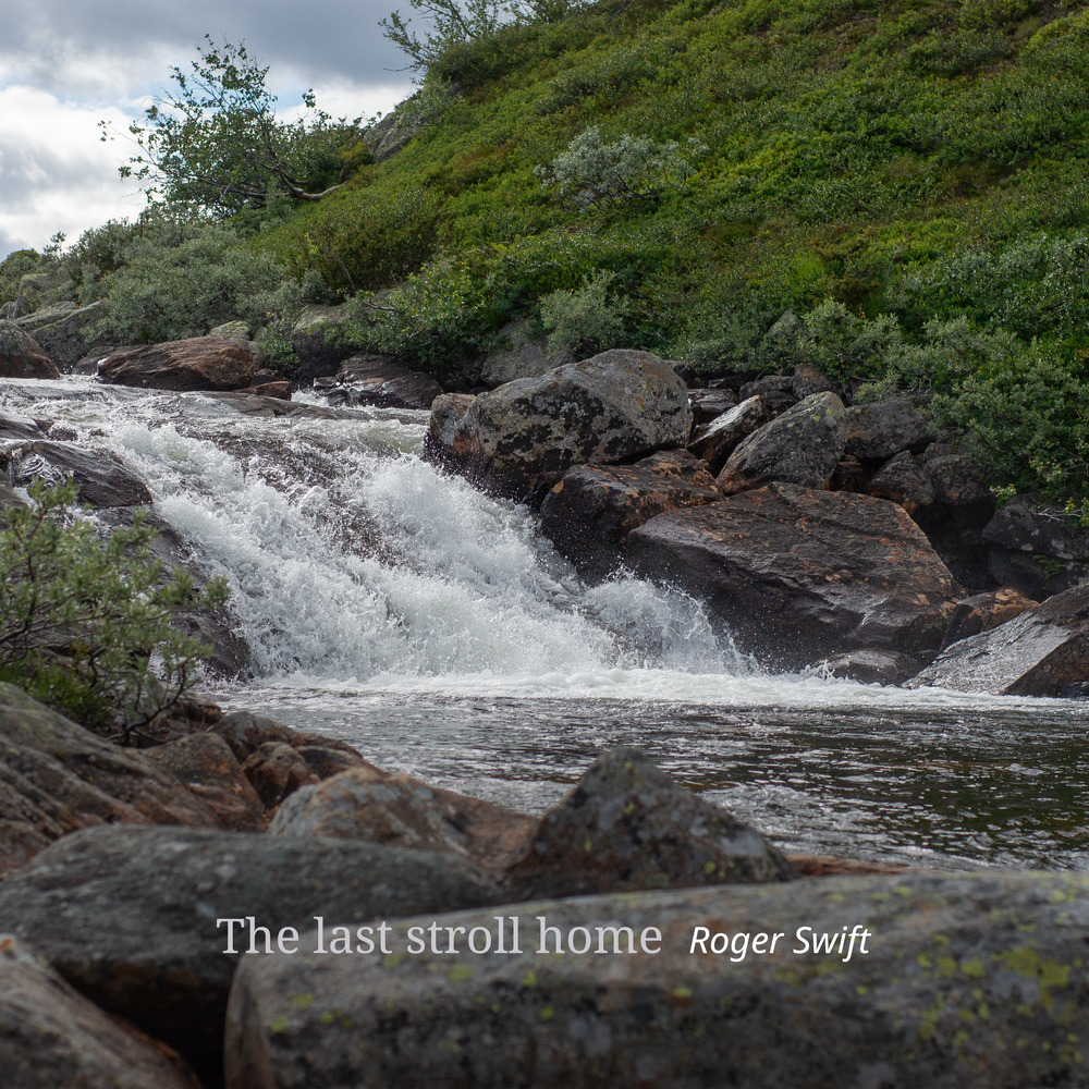 Roger Swift, The last stroll home (Single) in High-Resolution Audio ...
