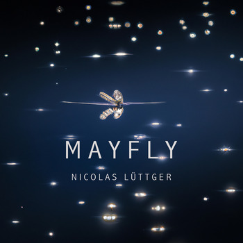 Nicolas Lüttger, Mayfly (Single) in High-Resolution Audio ...
