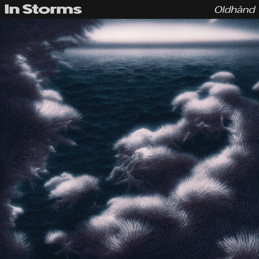 Oldhånd, In Storms (Single) in High-Resolution Audio - ProStudioMasters