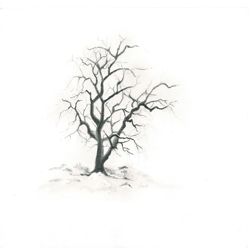 Evert Smit, Laatbloeier (Single) in High-Resolution Audio ...