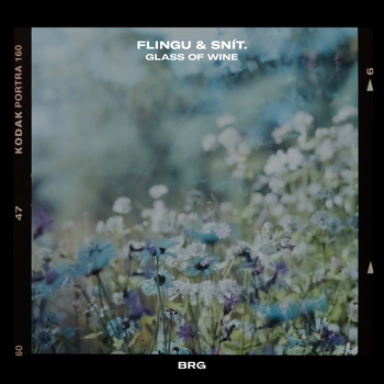 Flingu; snít.; BRG Beats, Glass Of Wine in High-Resolution Audio ...