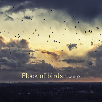 Skye High, Flock of birds (Single) in High-Resolution Audio ...