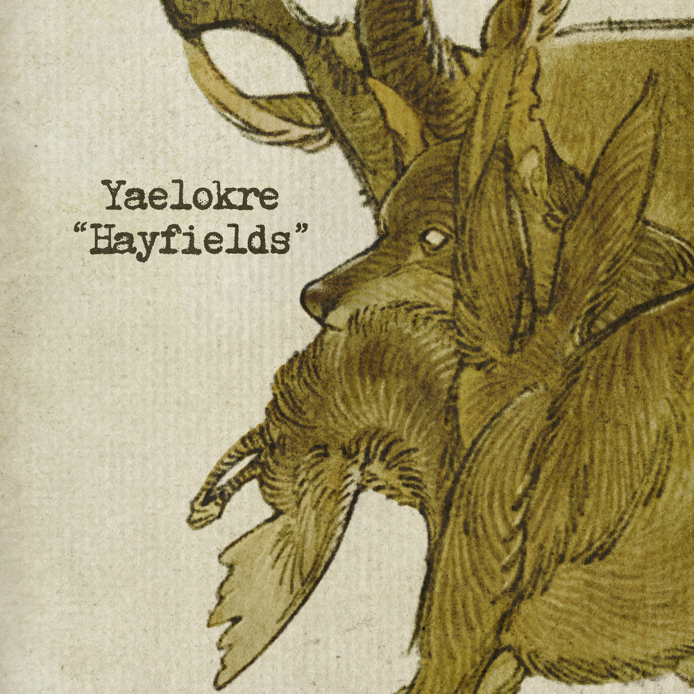 Yaelokre, Hayfields in High-Resolution Audio - ProStudioMasters