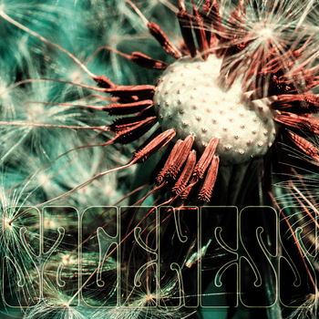 Sageness, Sageness in High-Resolution Audio - ProStudioMasters