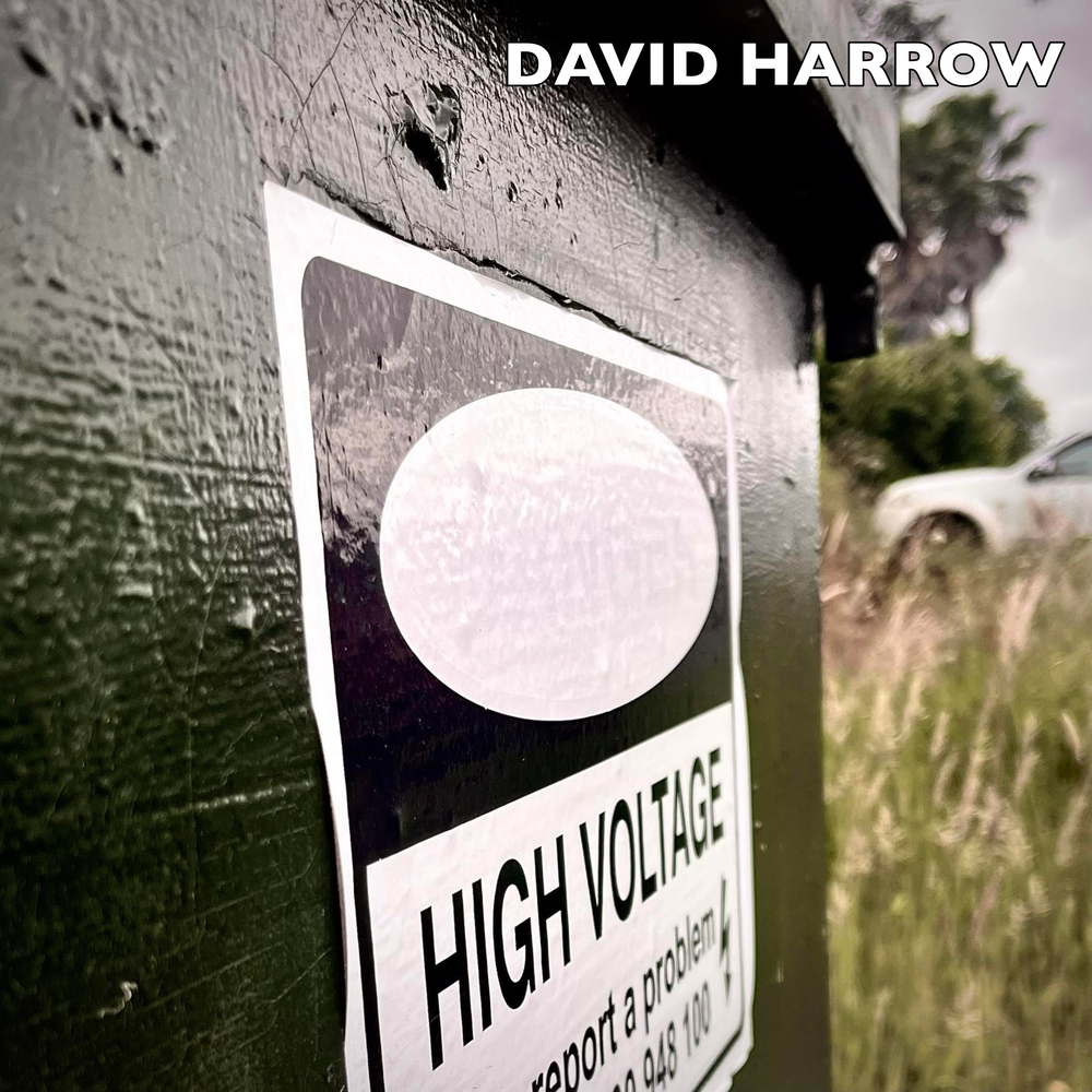 David Harrow, High Voltage Dubs in High-Resolution Audio - ProStudioMasters