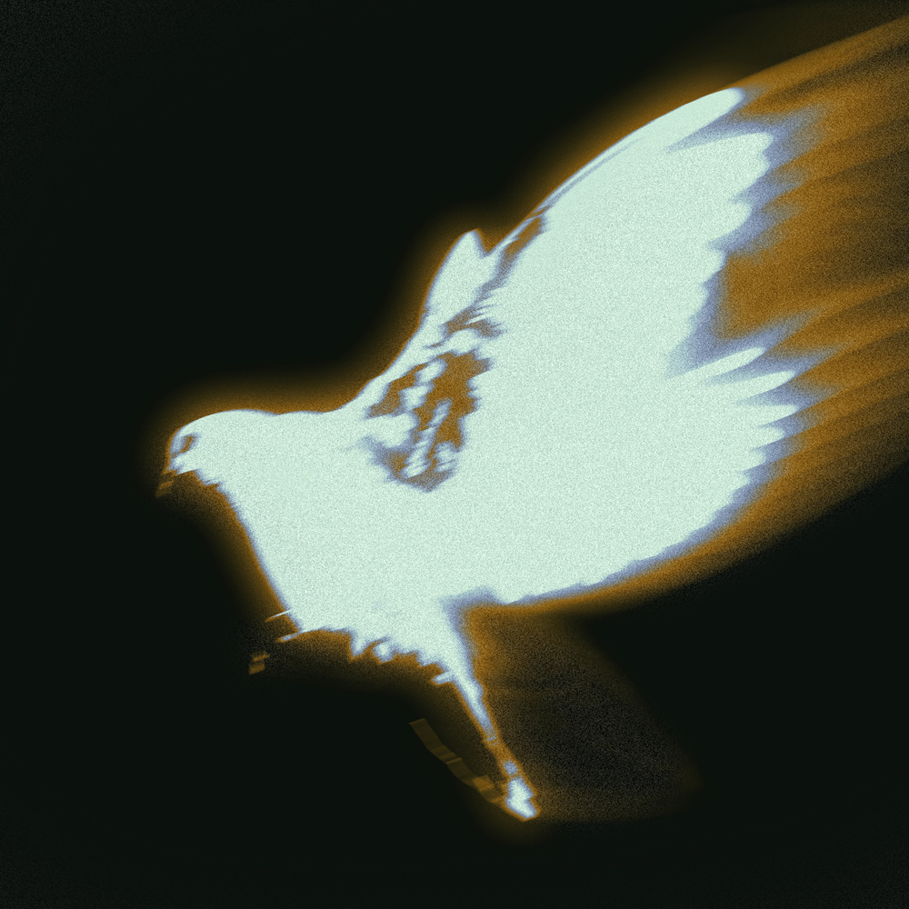 James Wilson; Glory MSC, Forever in High-Resolution Audio ...