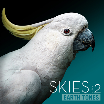 Bleeding Fingers, Earth Tones: Skies 2 in High-Resolution Audio ...