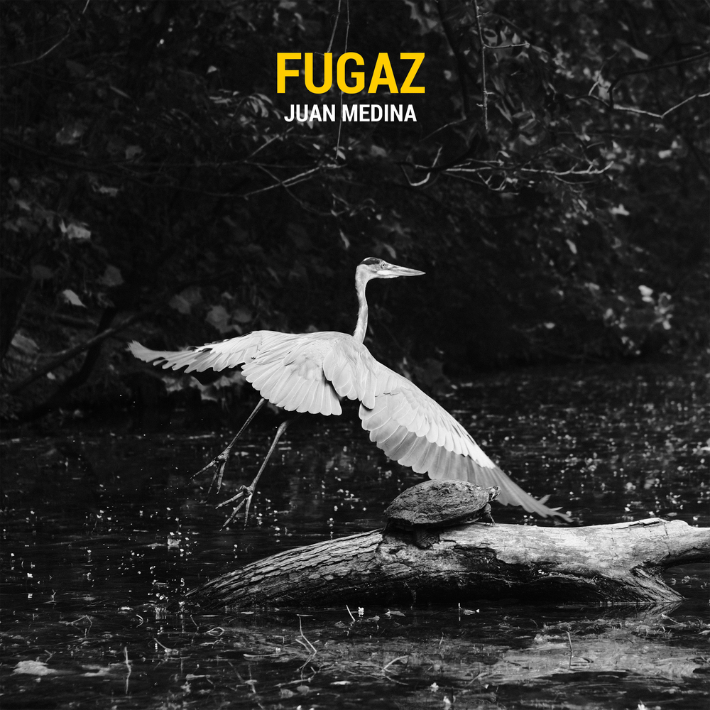 Juan Medina, Fugaz in High-Resolution Audio - ProStudioMasters