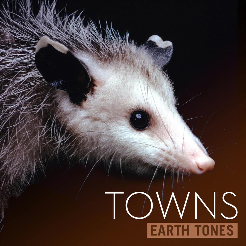 Bleeding Fingers, Earth Tones: Towns in High-Resolution Audio ...